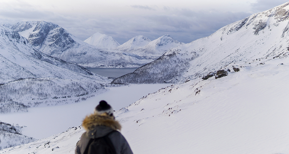 APF Canada Research and Programs on the Arctic